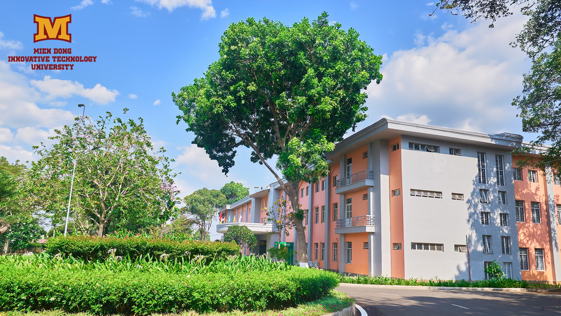 Về MIT University Vietnam