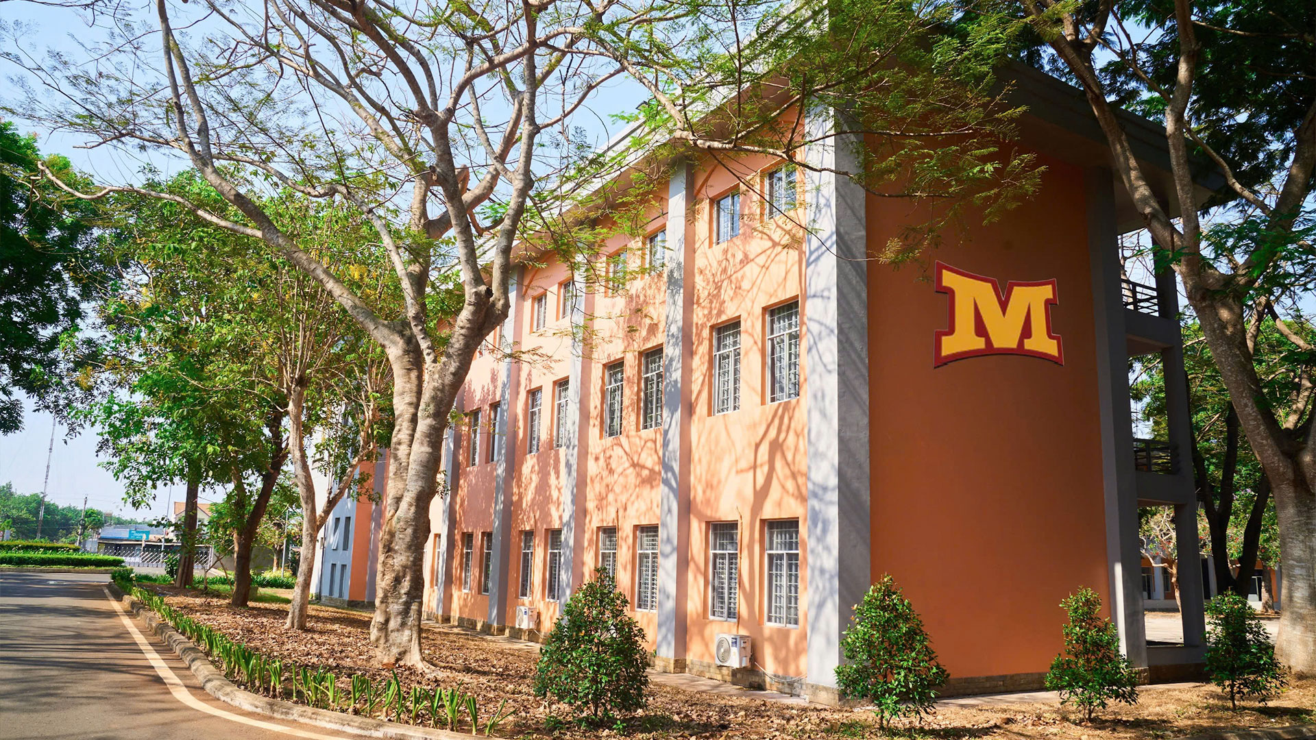 MIT Uni. đổi Tên Tòa Nhà: Sunflower Building & Rose Building - Trường ...